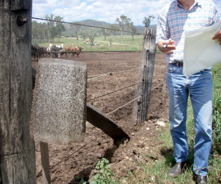 Counting Fly Numbers in the Environment - FlyBoss