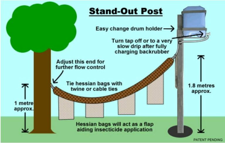 Backrubbers - FlyBoss