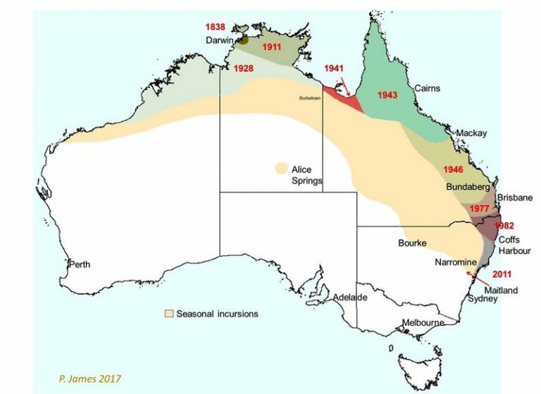 Distribution and Biology for Cattle - FlyBoss