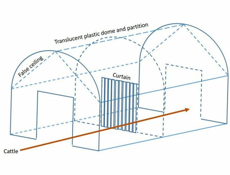 Buffalo Fly Traps - FlyBoss