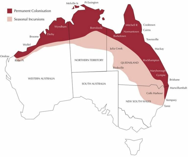 Distribution and Biology for Cattle - FlyBoss