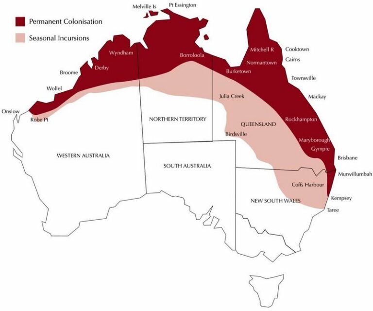 Seasonal Distribution of Buffalo Fly - FlyBoss