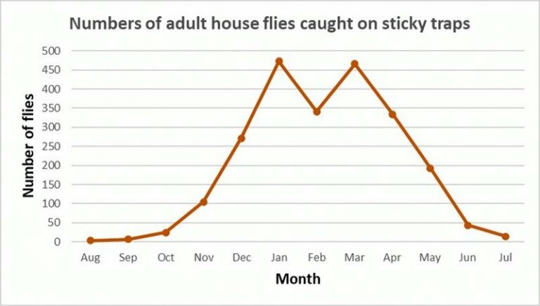 Counting Fly Numbers in the Environment - FlyBoss