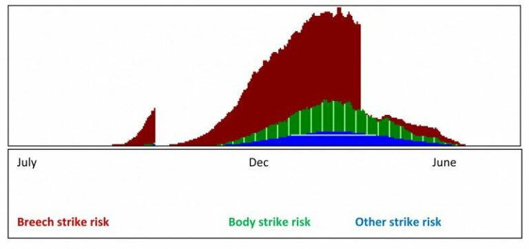 Annual Flystrike Management Plans for Sheep - FlyBoss