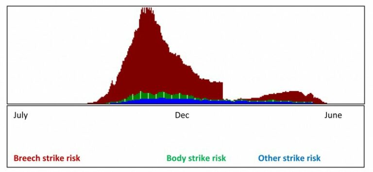 Annual Flystrike Management Plans for Sheep - FlyBoss