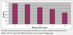 Breech Cover Scoring and Selection - FlyBoss