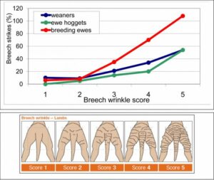Breech Strike - FlyBoss