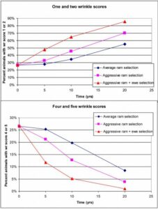 Breeding to Reduce Flystrike Susceptibility - FlyBoss