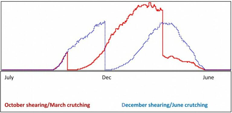 Shearing and Crutching - FlyBoss